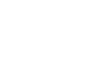 Cara Chicago - Cara Collective